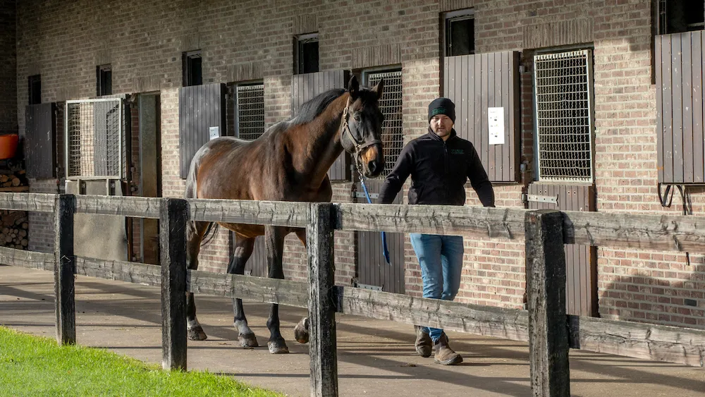 Elvis ter Putte s’affirme d’année en année (2/2)