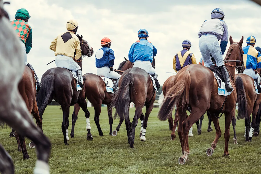 Le meilleur de l’année hippique par Studforlife ! (2/3)
