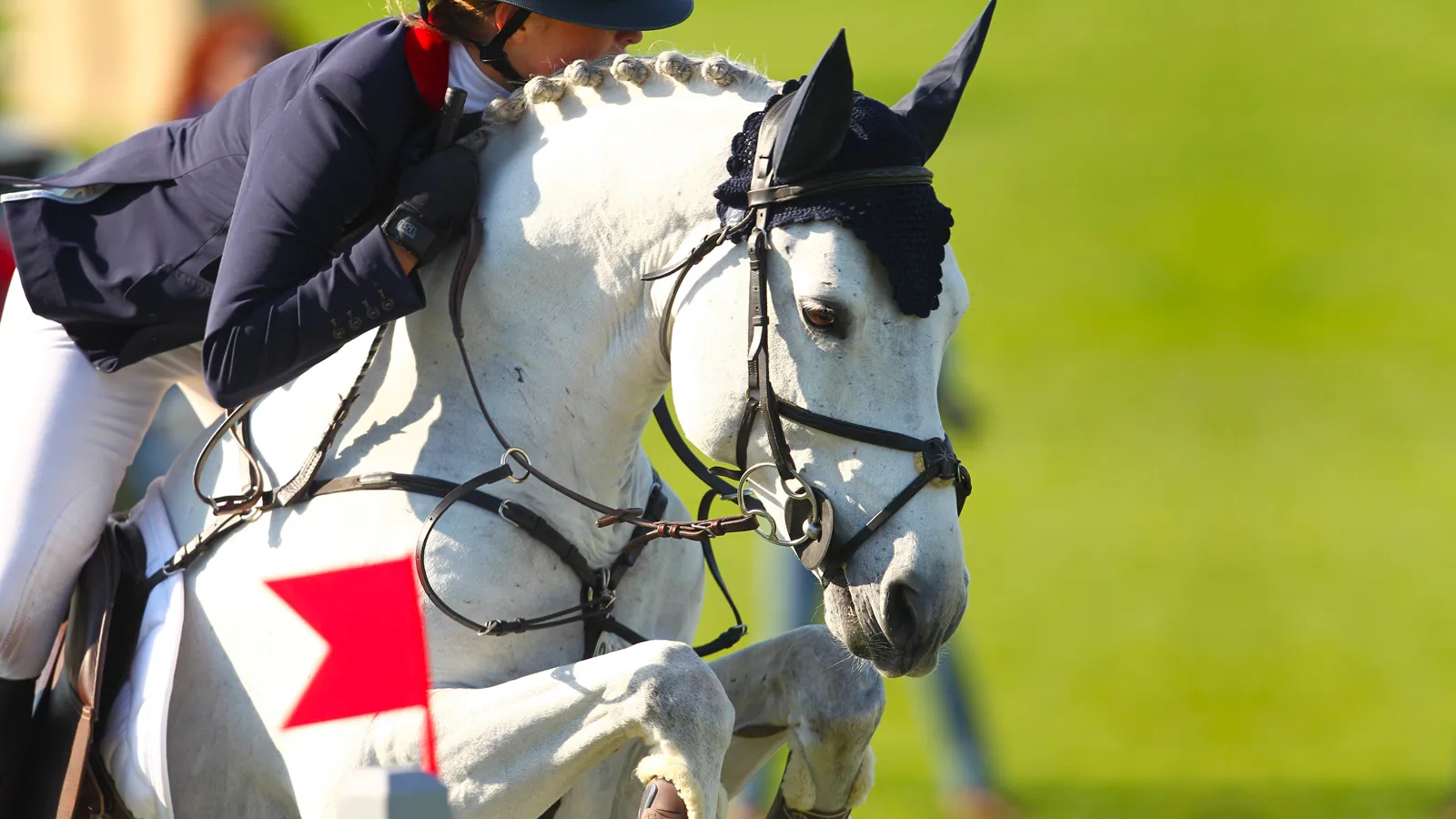 Le crack Rexter d’Or tire sa révérence et revient en France
