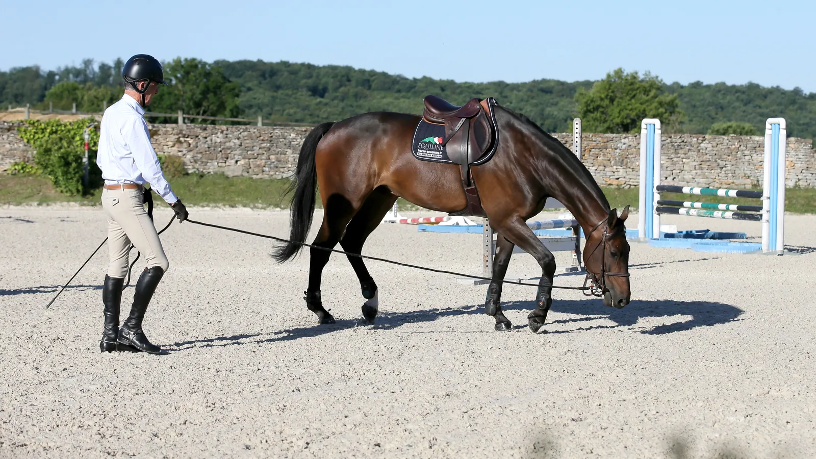 Les bienfaits de l’extension d’encolure, selon Michel Robert et Patrick ...