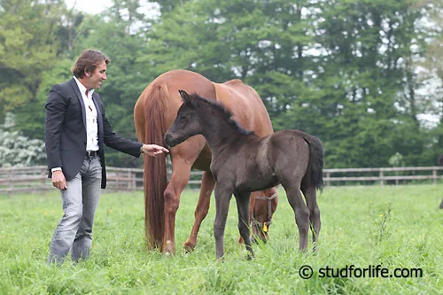 Xavier Marie, l'avenir comme obsession.