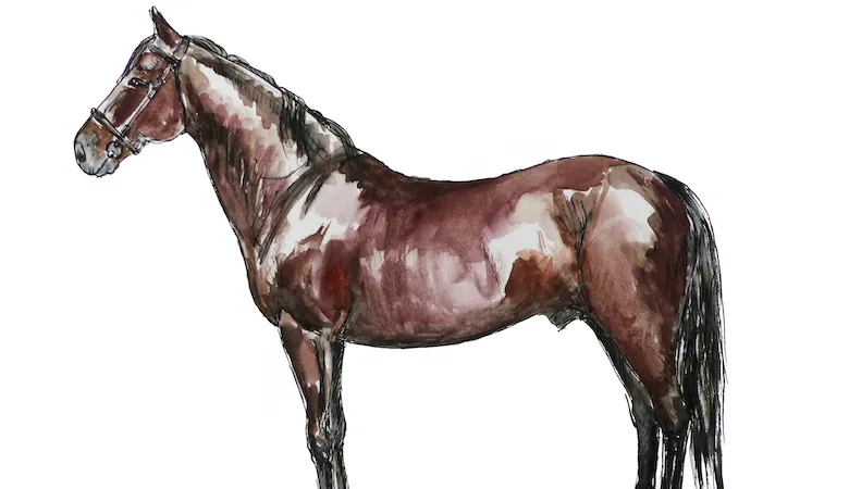 Cavalier Royale, toujours au goût du jour (partie 1)