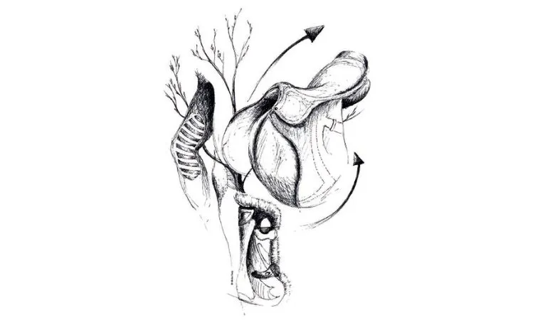L'avenir de l'équipement équestre selon Laurent Duray, Alberto Vriz ...