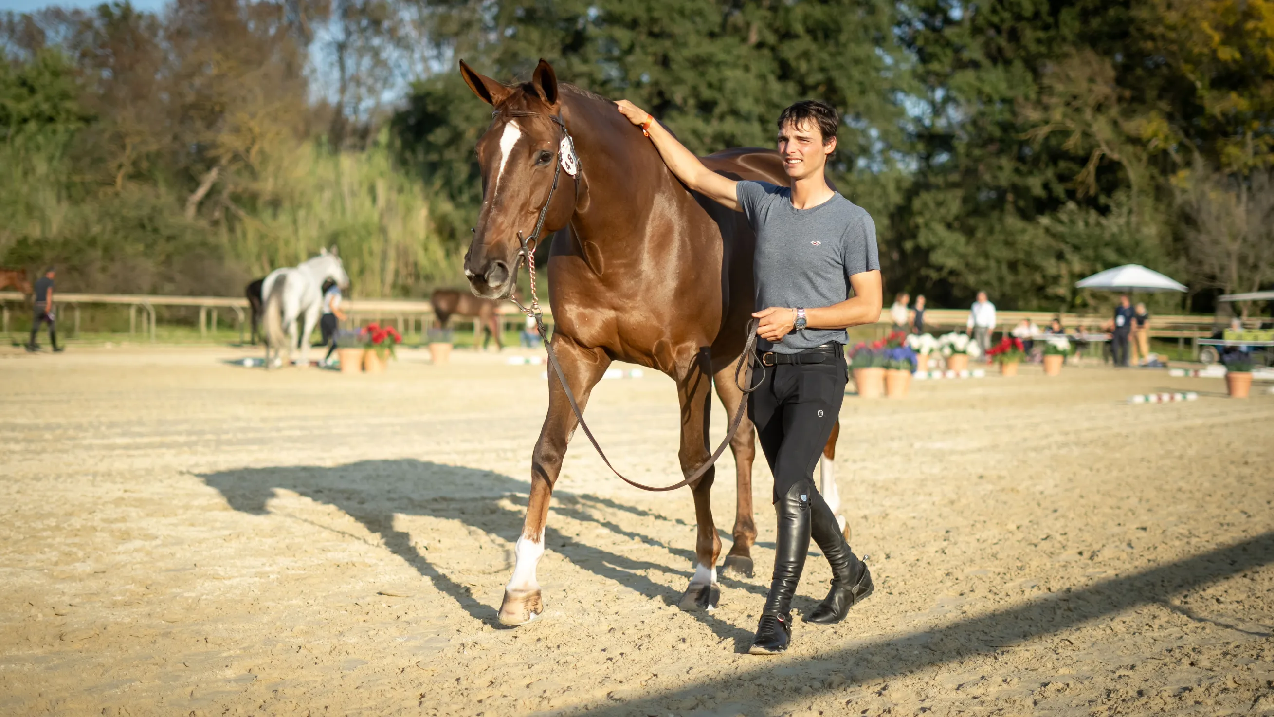 “Conserver l’une de mes juments de concours et lui faire faire quelques poulains serait un rêve ...