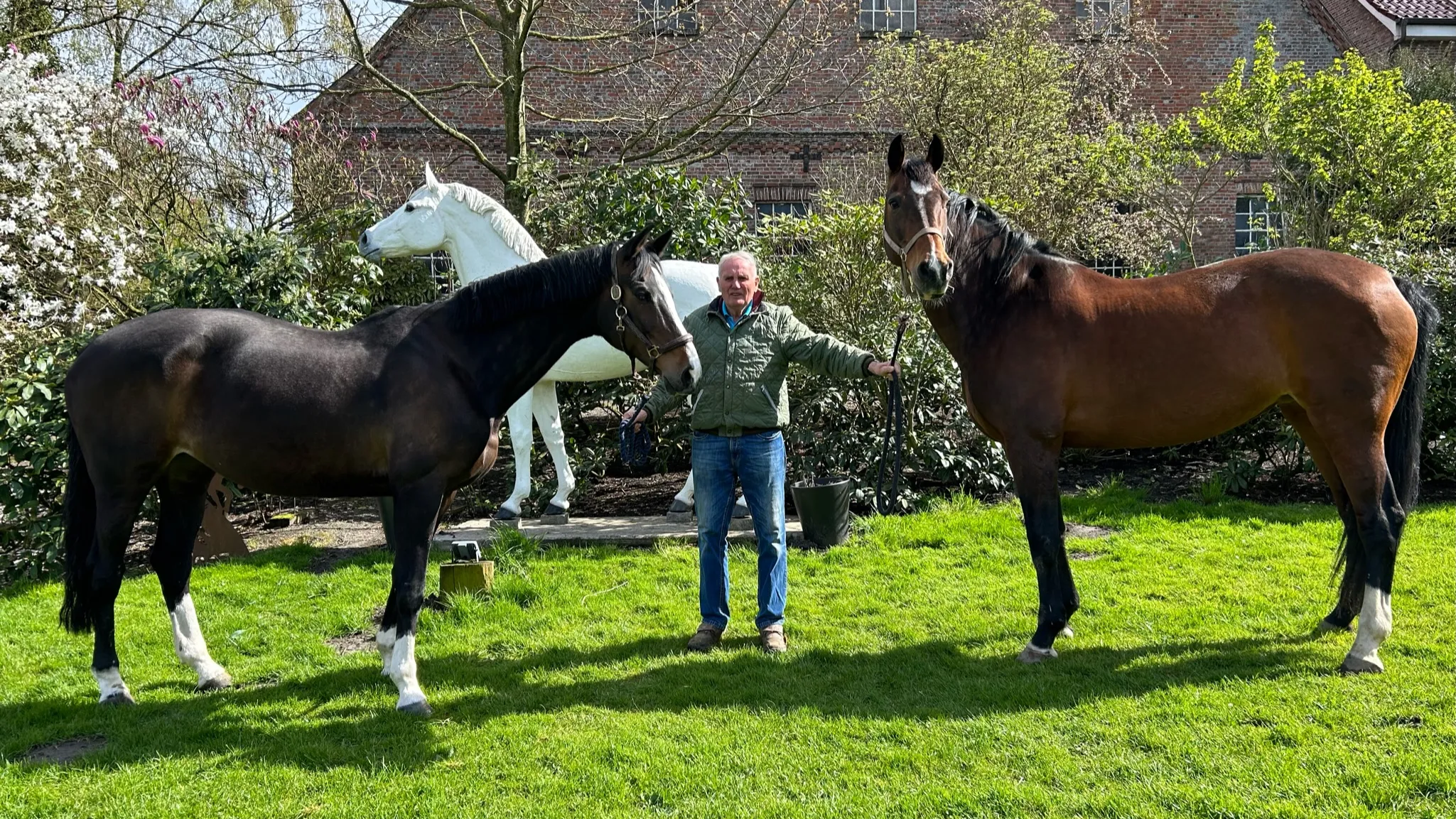 L'écurie Hof Thormählen retrouve ses deux super stars maison, Ornellaia ...