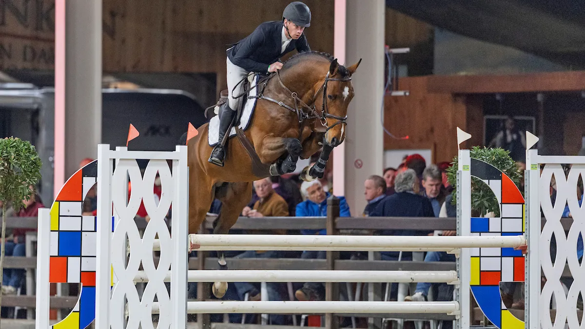 Helios van de Helle en Uomo de Regor zijn kampioen bij de 5-jarige hengsten