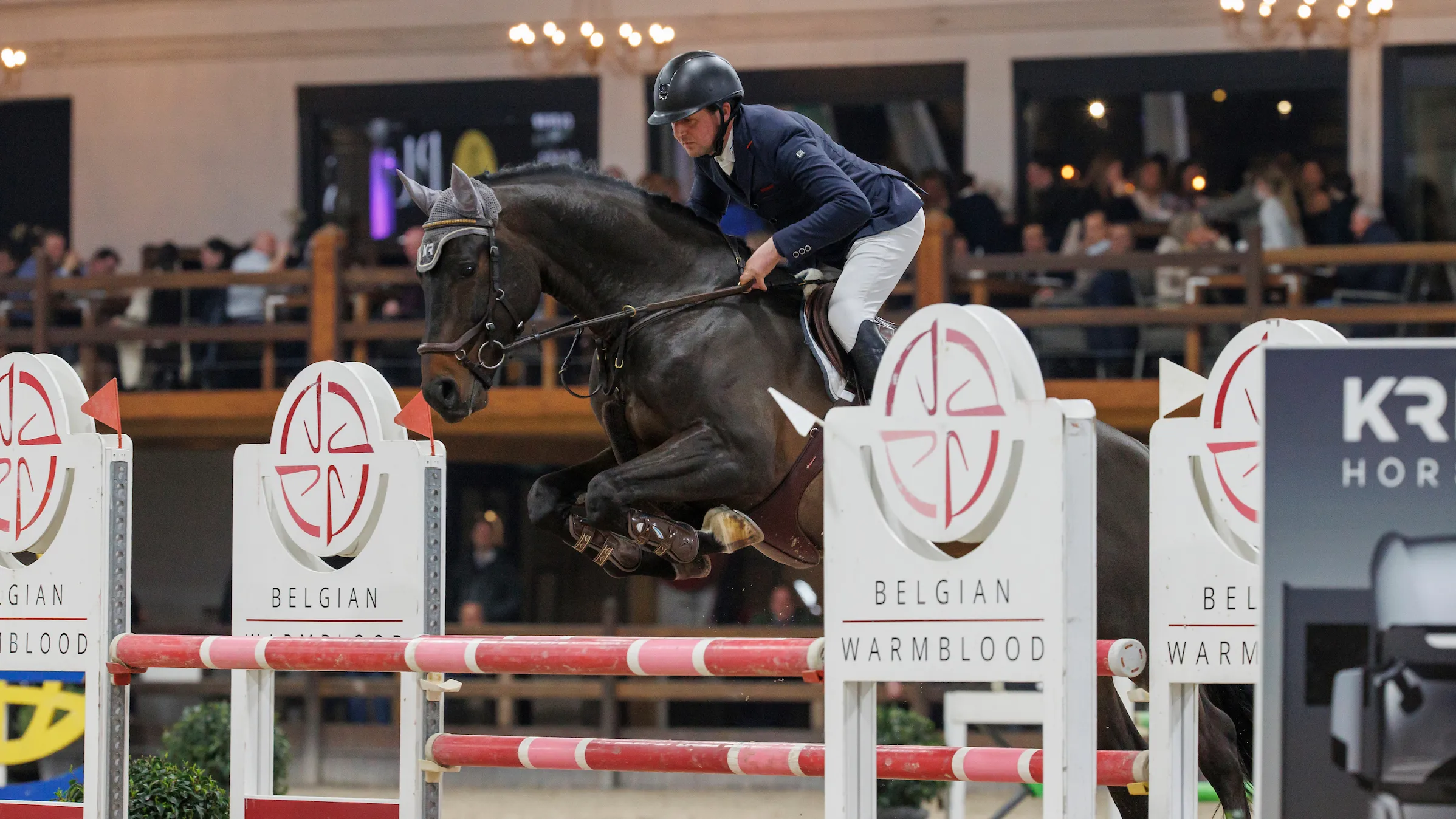 Grand Prix overwinningen voor Oriana van 't Ruytershof en Qornet vd ...