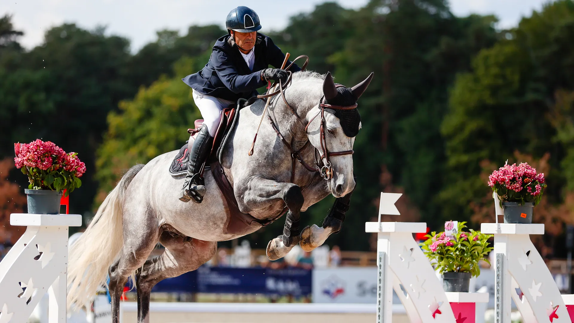 “Les ventes aux enchères en ligne ont leur place dans notre secteur ...