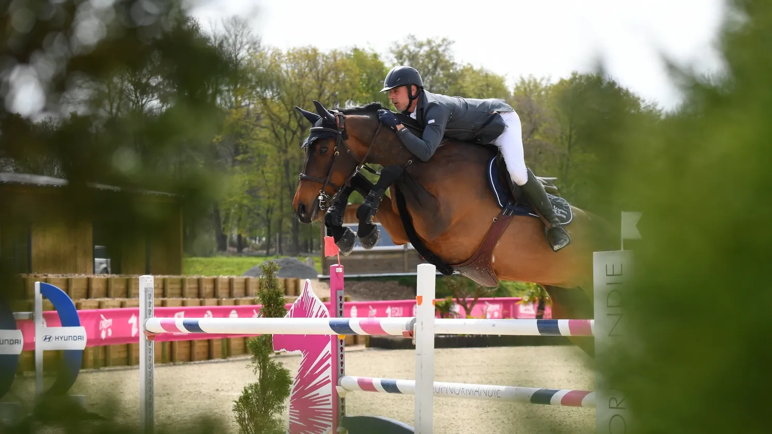 “Apprendre à connaître ses poulinières est ce qui donne ses lettres de ...