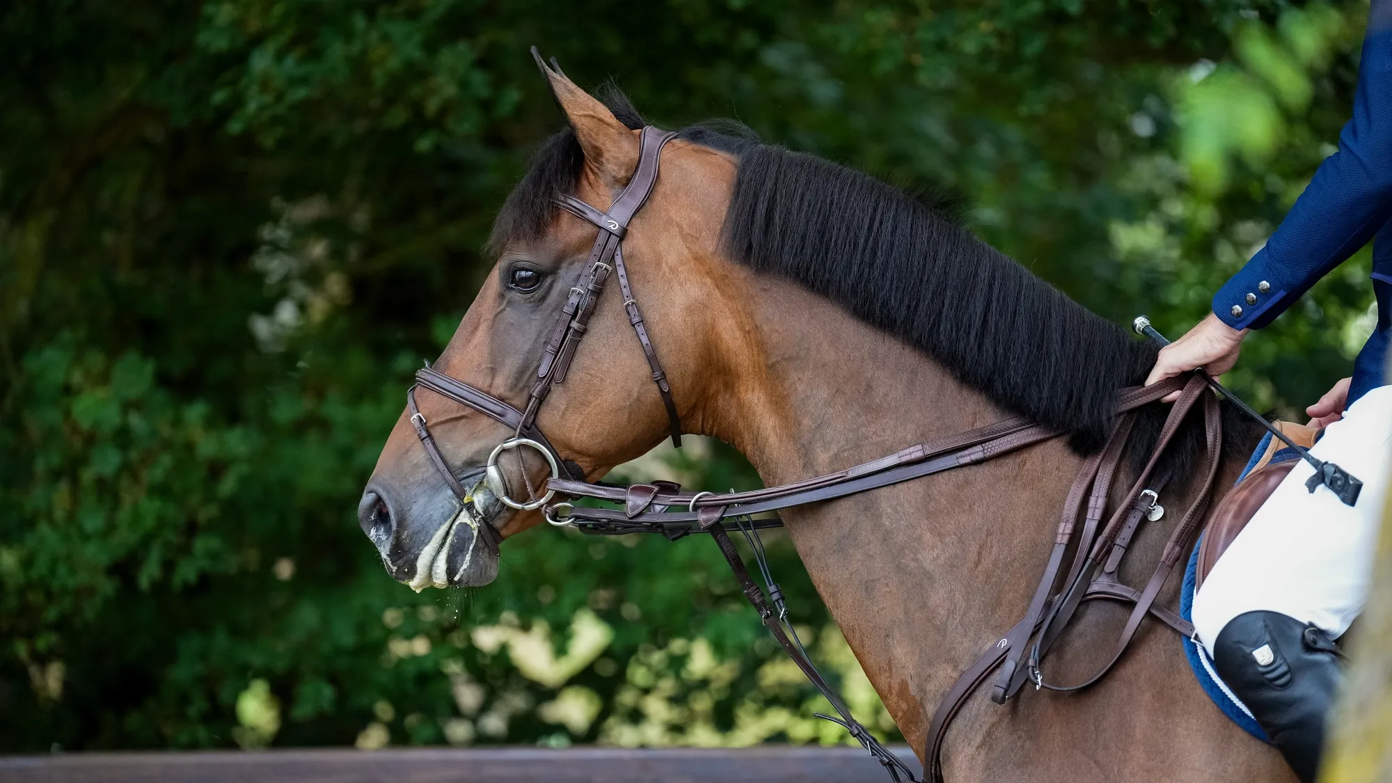Beau Gosse du Park, quand le sort s’acharne (1/2)