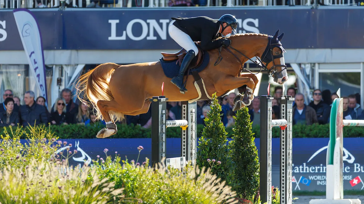 Vier sterren overwinning voor Mike Van Olst in Hamburg