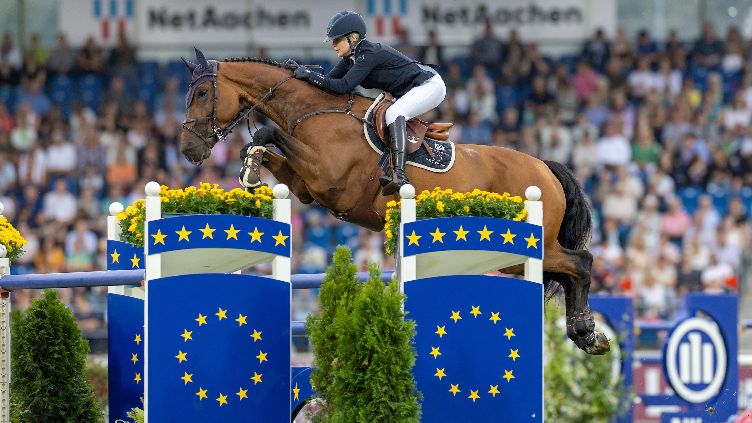 Winst voor Winnetou de la Hamente Z in de Grote Prijs van Oudsbergen