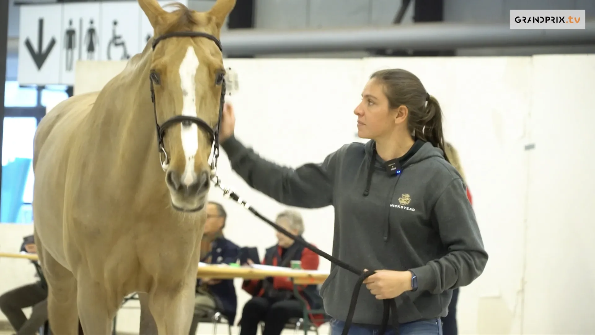 “Les concours indoors nous permettent de mieux connaître nos chevaux ...