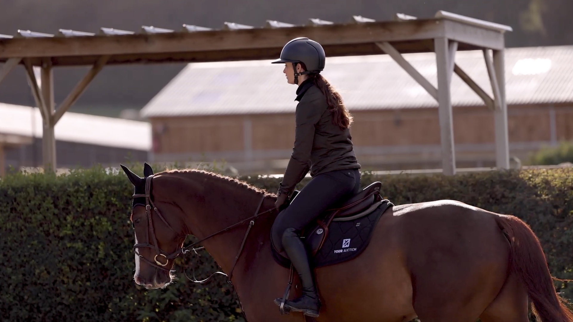 Le premier épisode de BACKSTAGES, dans les coulisses de Your Auction